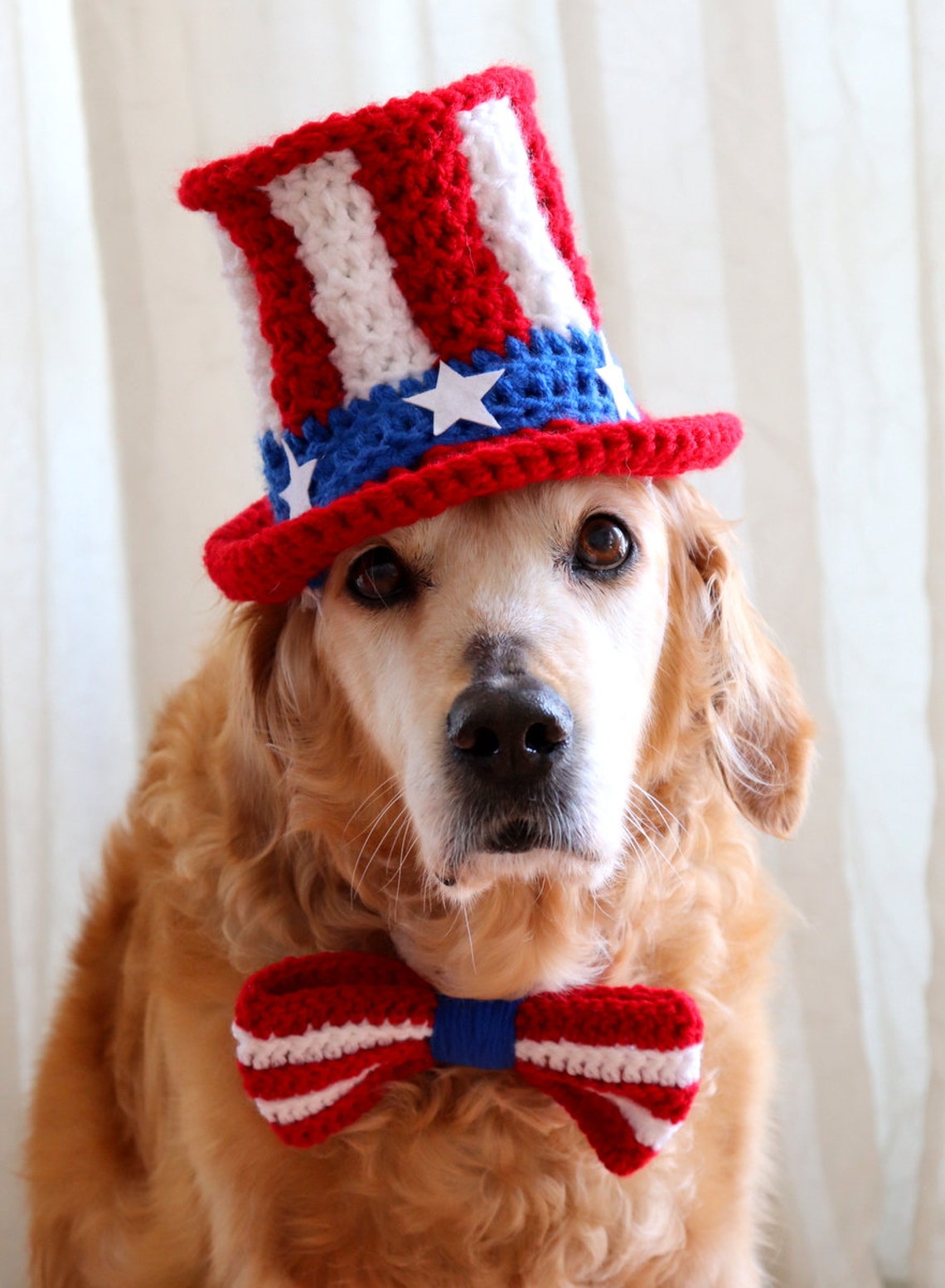 4th of July Dog Hat, Independence Day Hat for Dogs, Uncle Sam Hat for ...