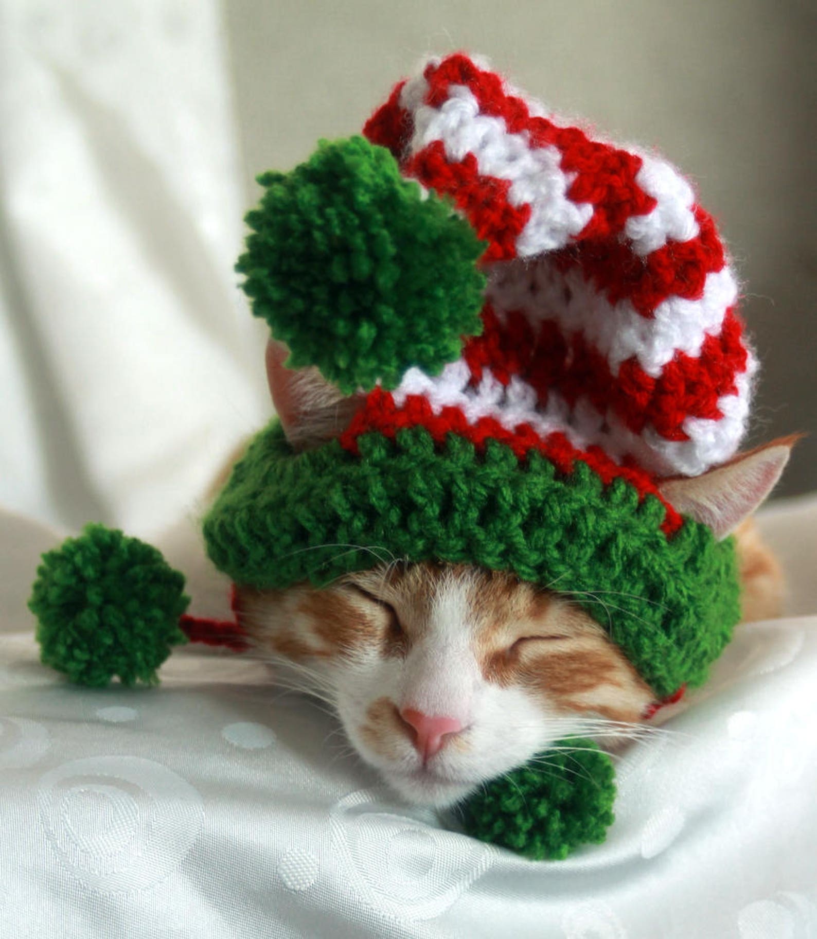 Crochet Pattern: Elf Hat for Cats Cat Elf Hat Pattern - Etsy Canada