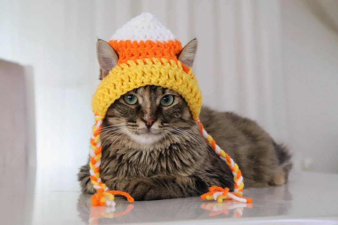 Candy Corn Cat Hat, Halloween Hat for Cats, Kittens, and Small Dogs ...