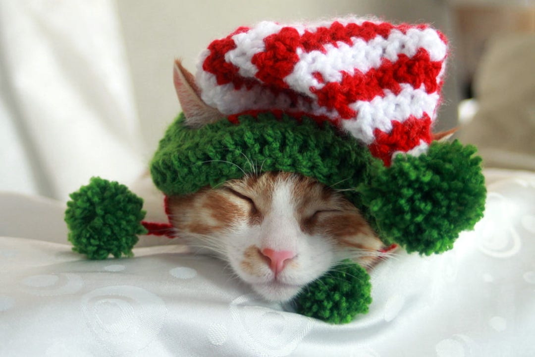 Elf Hat for Cats, Cat Elf Hat, Holiday Cat Hat, Christmas Hat for Cats ...