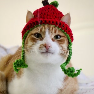 Apple Hat for Cats, Crochet Apple Hat for Cats, Kittens, and Small Dog ...