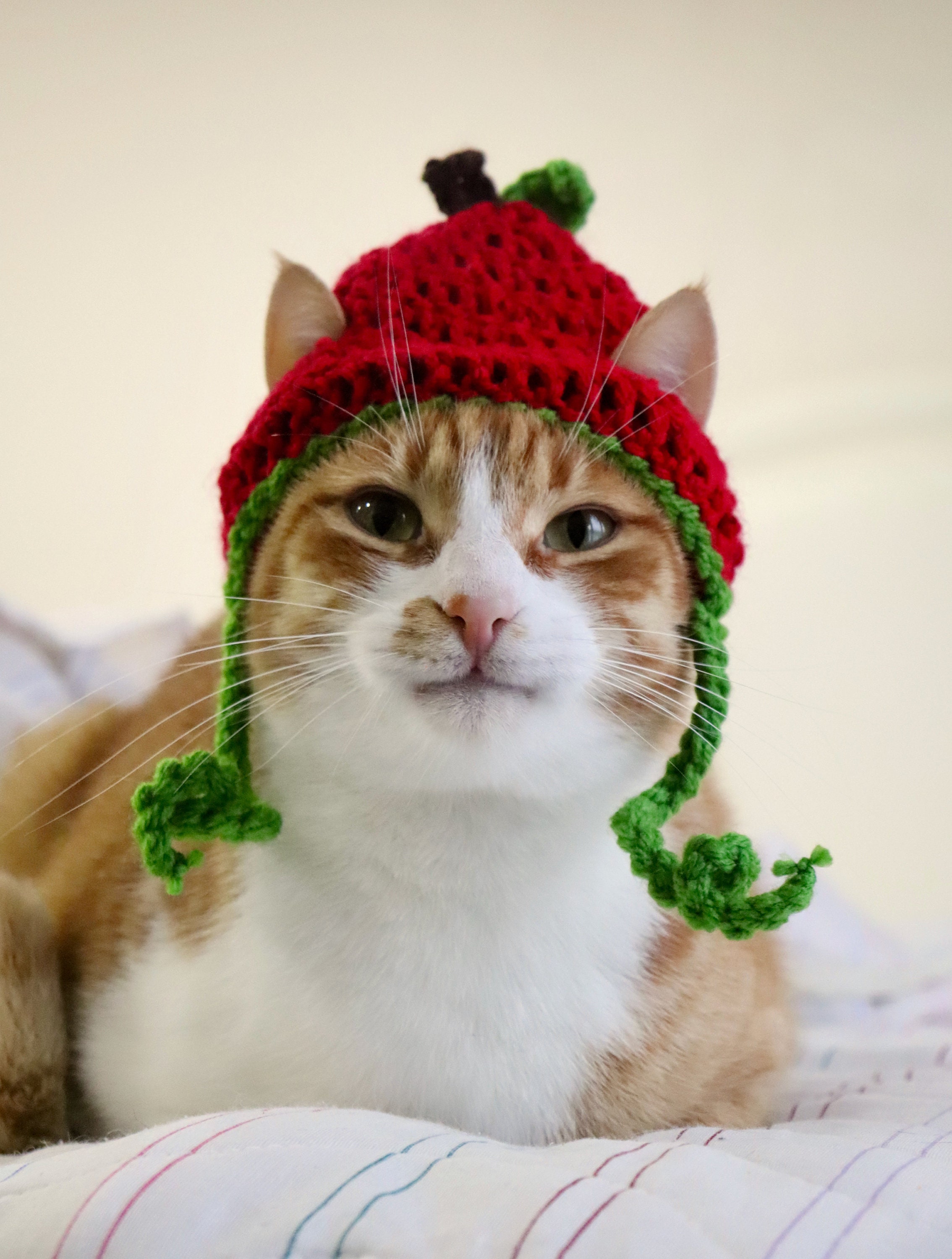 Apple Hat for Cats Crochet Apple Hat for Cats and Toy Dog - Etsy