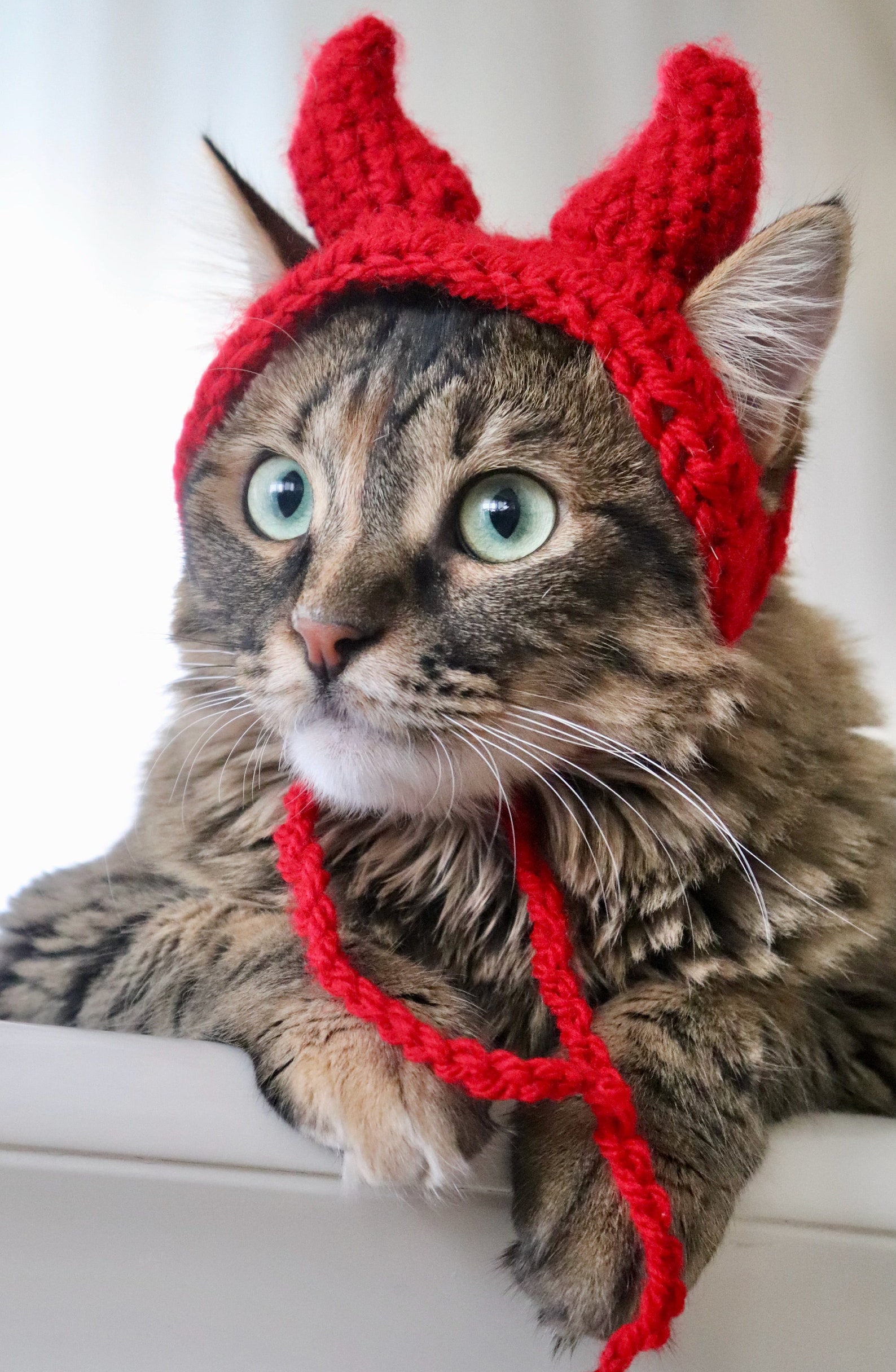 Devil Cat Hat Devil Pet Costume Devil Horns for Cats Devil - Etsy