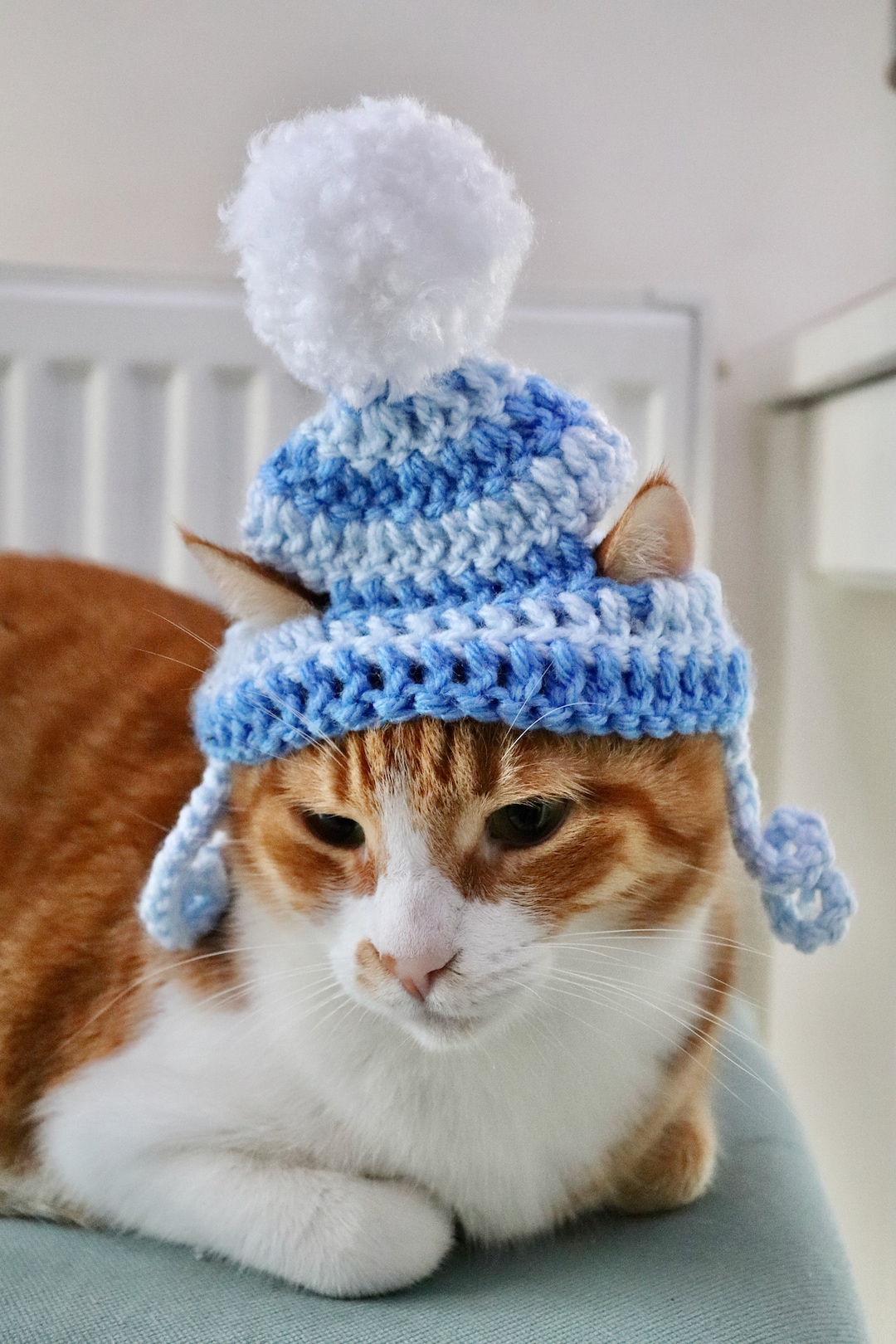 Beanie Hat for Cats, Blue Striped Cat Hat With Fluffy Pom Pom, Winter ...