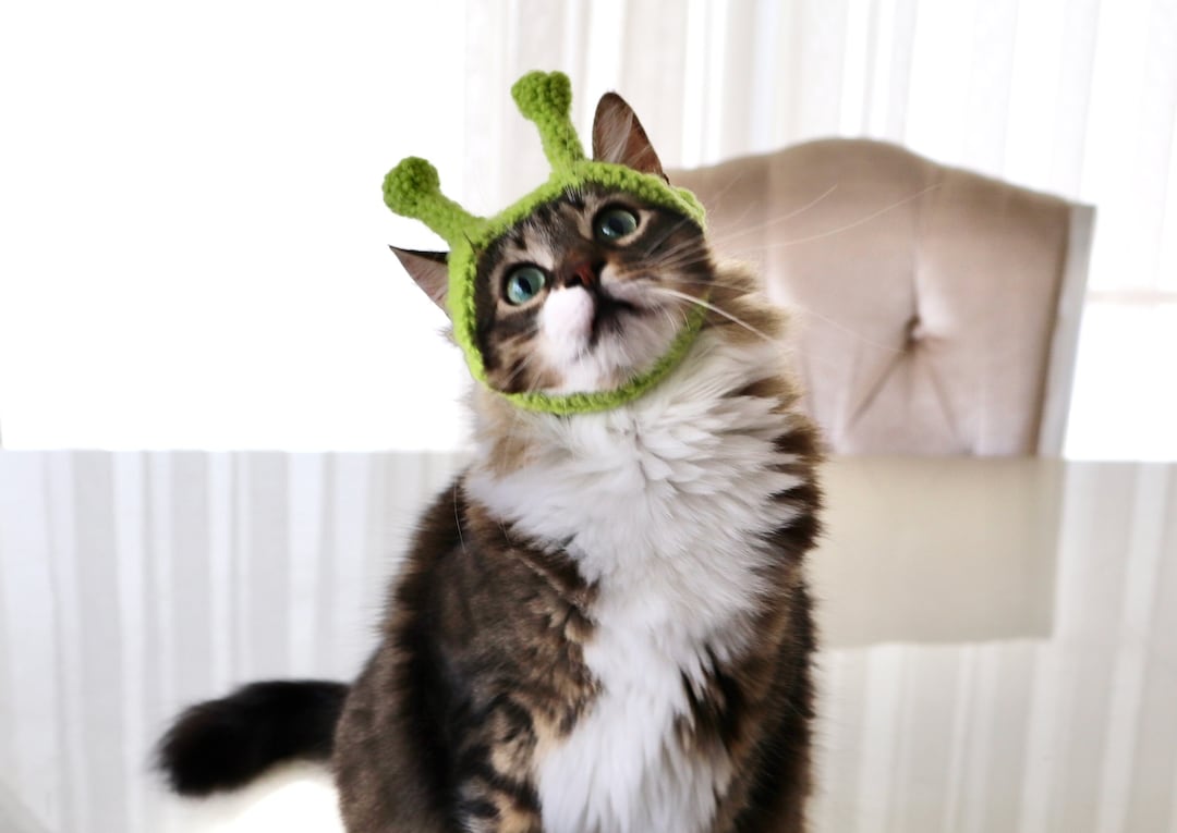 Alien Cat Hat, Cat Alien Antennae Headband, Outerspace Scifi ...
