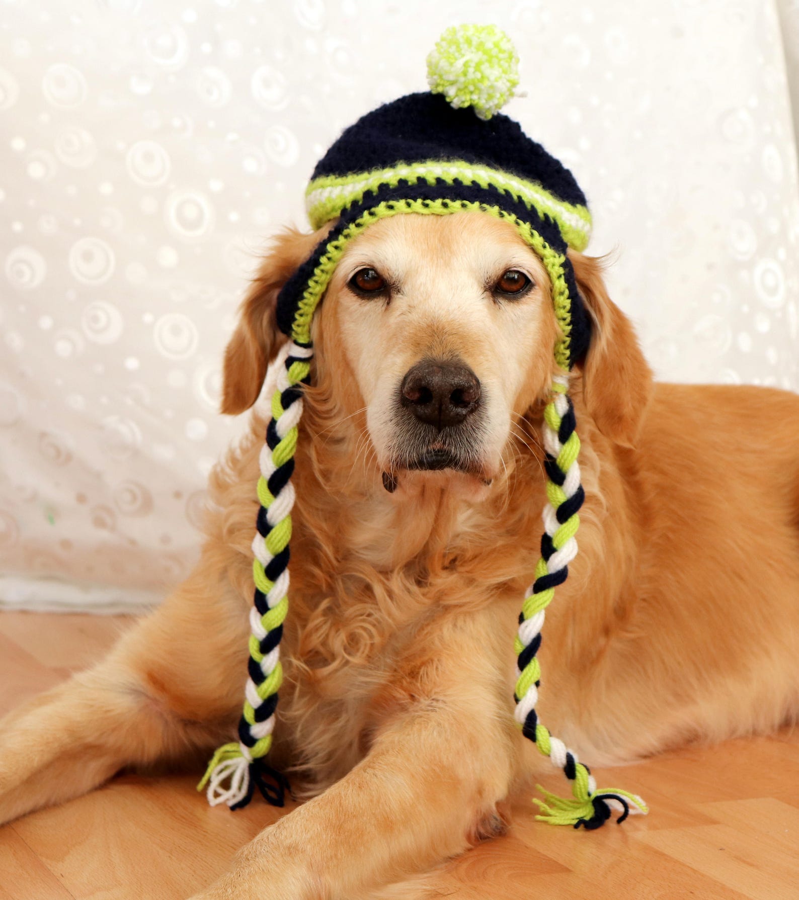 Dog Hat Ear Flap Dog Hat Dog Beanie Pom Pom Hat for Dogs | Etsy