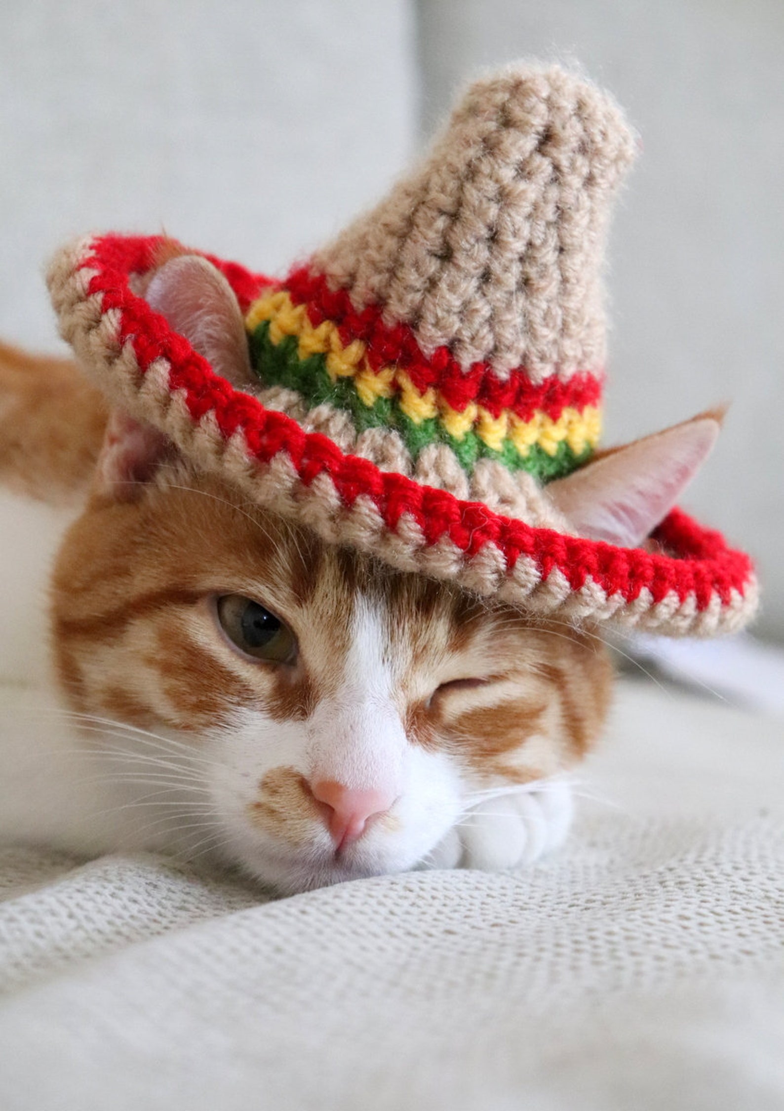 Cat Sombrero Crochet Pattern, Crochet Instructions for Pet Size ...