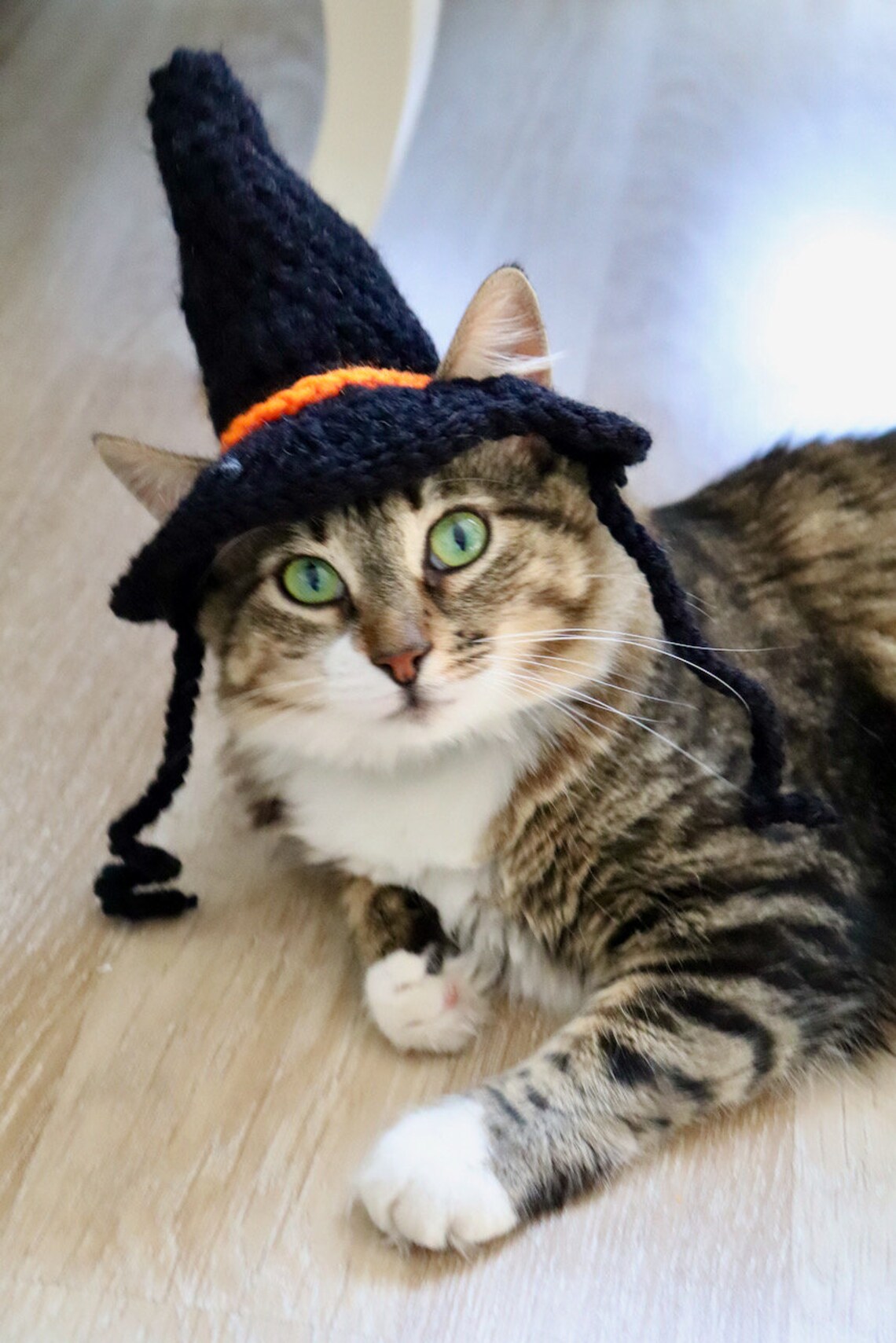 Witch Cat Hat Witch Hat for Cats Halloween Cat Costume | Etsy