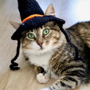 Witch Cat Hat Witch Hat for Cats Halloween Cat Costume | Etsy