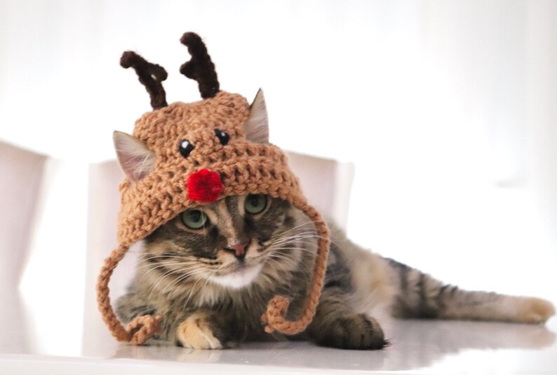 Crochet Pattern: Rudolph Reindeer Hat for Cats Christmas - Etsy