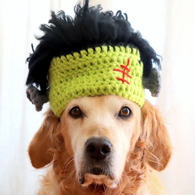 Frankenstein Dog Costume - Etsy