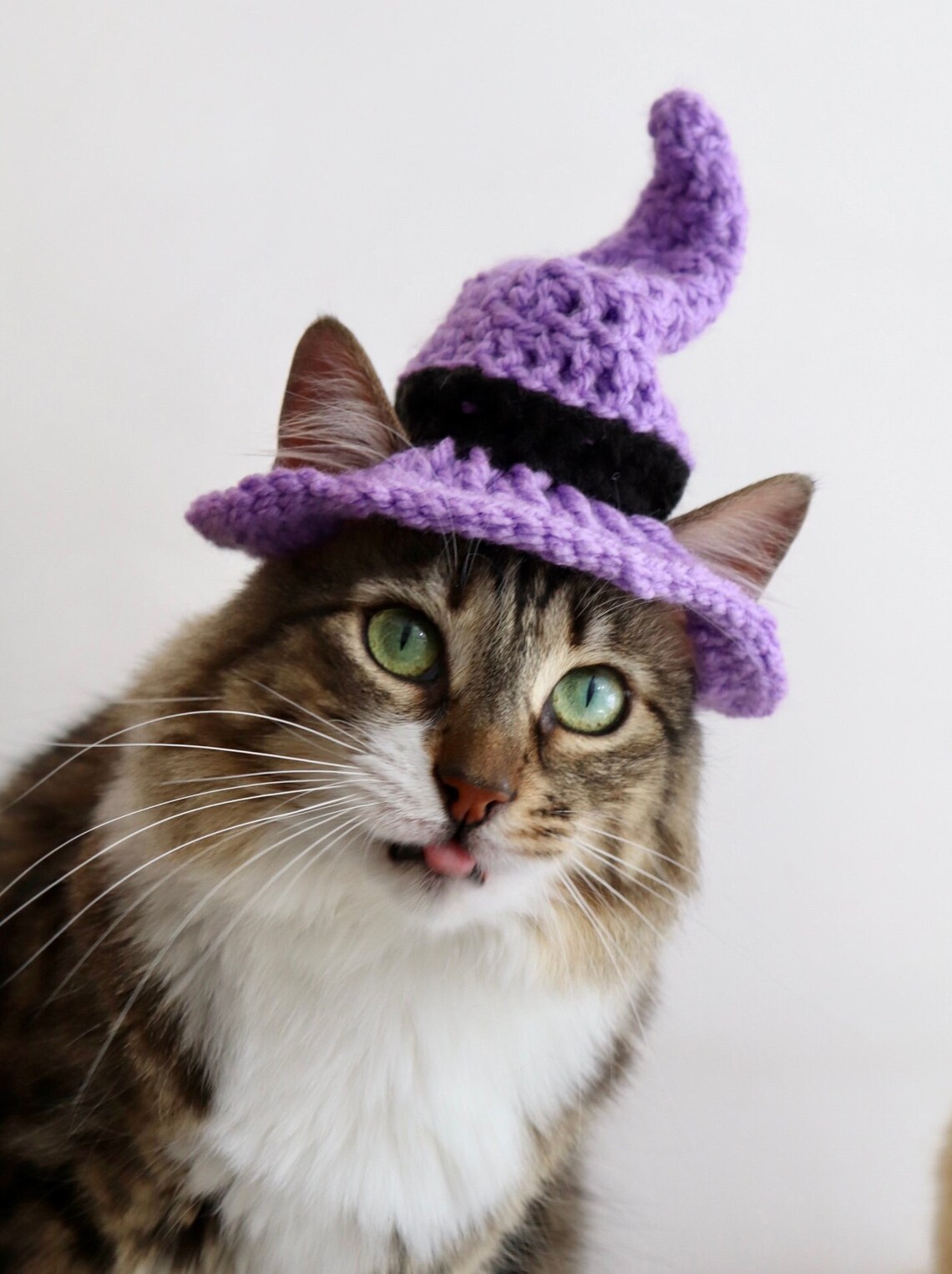 Witch Cat Hat Witch Hat for Cats Halloween Cat Costume - Etsy