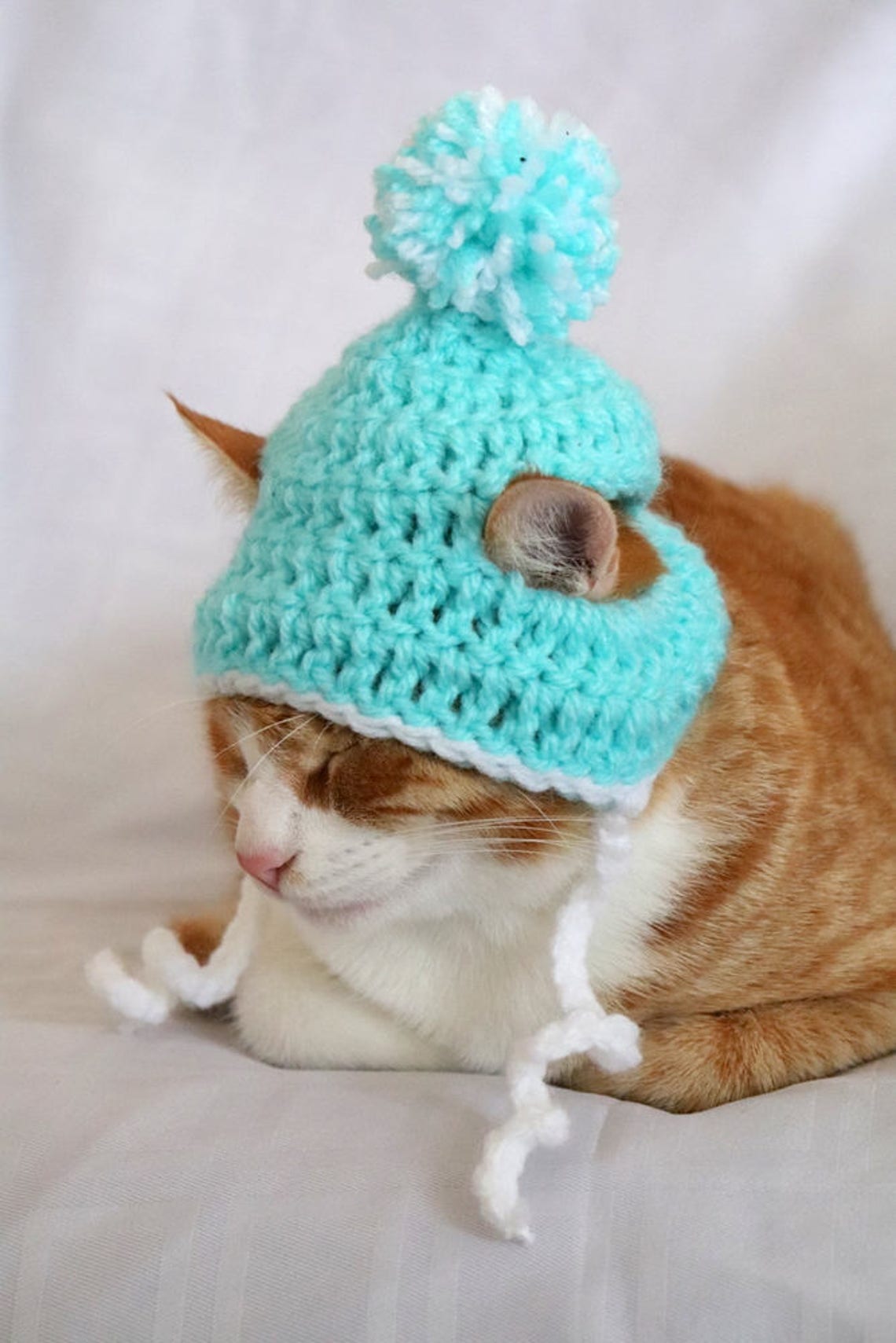 Cat Hat Beanie for Cats & Kittens Pom Pom Hat for Male Cats - Etsy