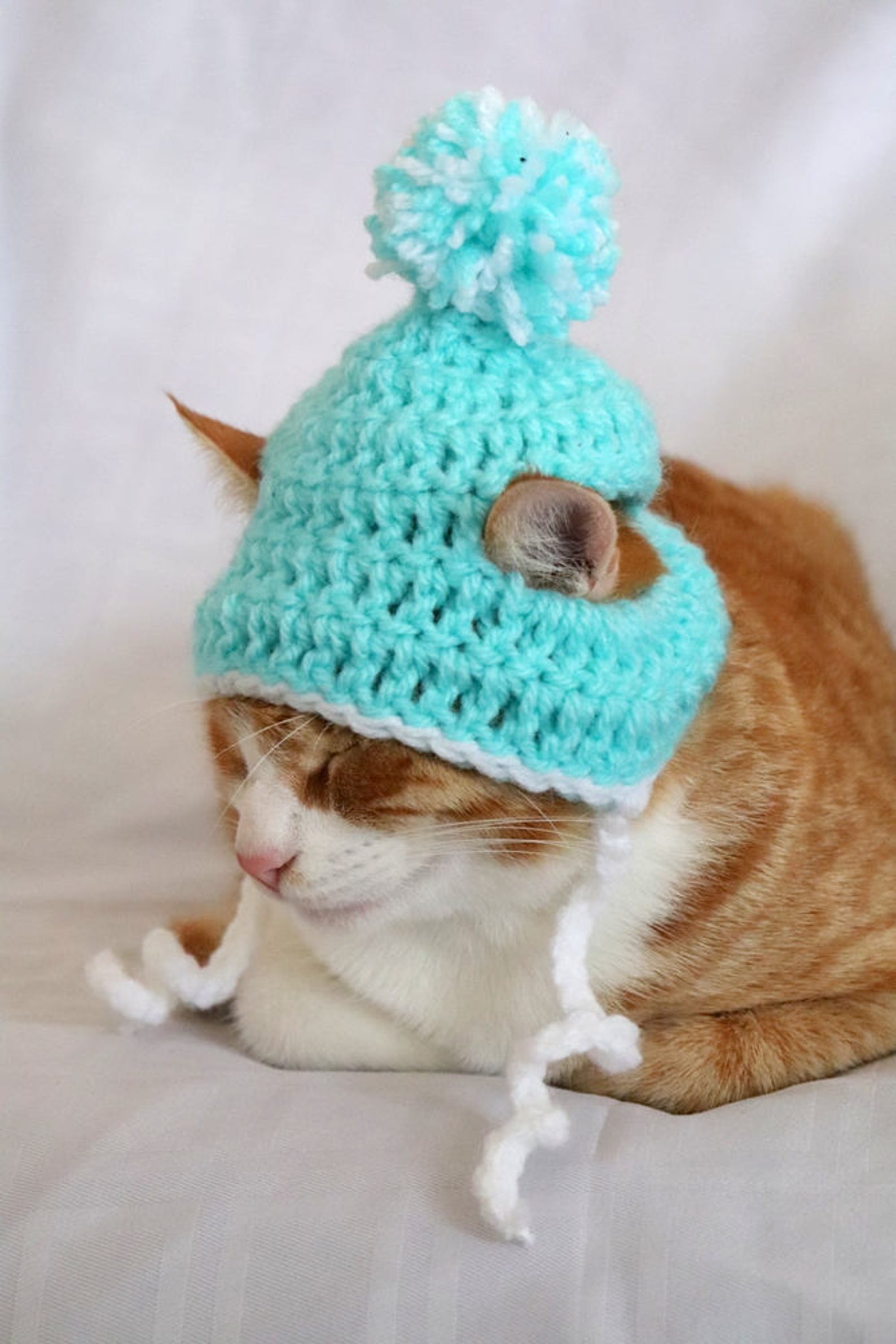 Cat Hat, Beanie for Cats & Kittens, Pom Pom Hat for Male Cats, Bright ...