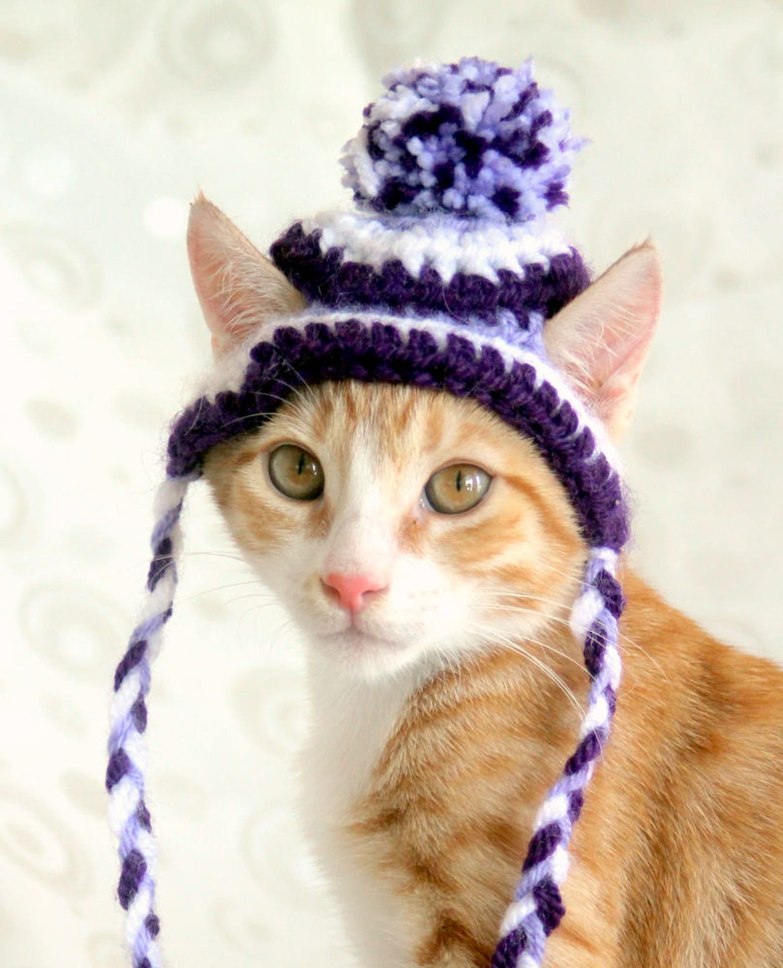 Hat for Cats, Toboggan Cat Hat, Beanie for Cats & Kittens, Cat Stocking ...