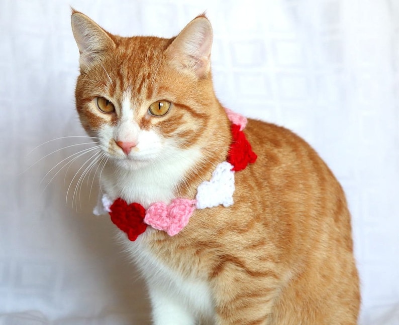 Valentine's Day Cat Accessory, Heart Collar / Necklace for Cats ...