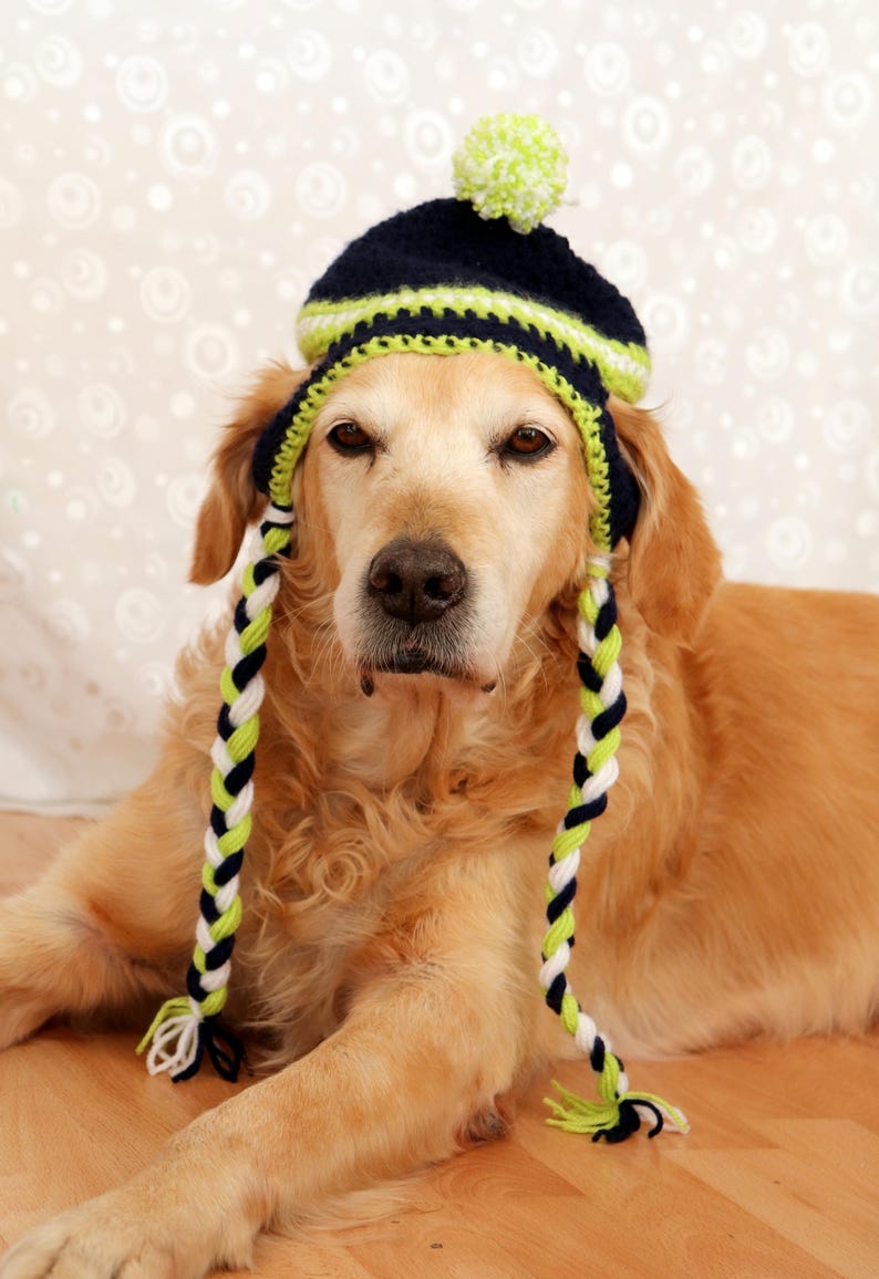 Dog Hat, Ear Flap Dog Hat, Dog Beanie, Pom Pom Hat for Dogs, Toboggan ...