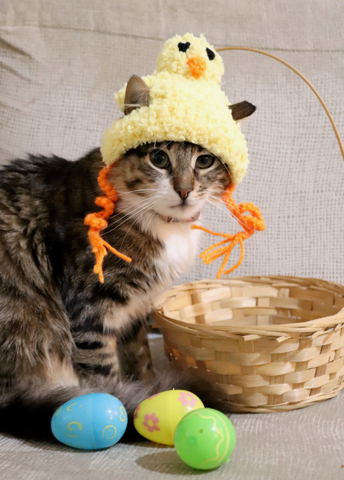 Easter Hat for Cats Easter Chick Cat Hat Funny Easter Chick - Etsy