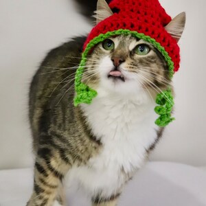 Crochet Apple Hat Pattern for Cats - Extra Small Dogs, Apple Cat Hat ...