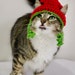 Crochet Apple Hat Pattern for Cats - Extra Small Dogs, Apple Cat Hat ...
