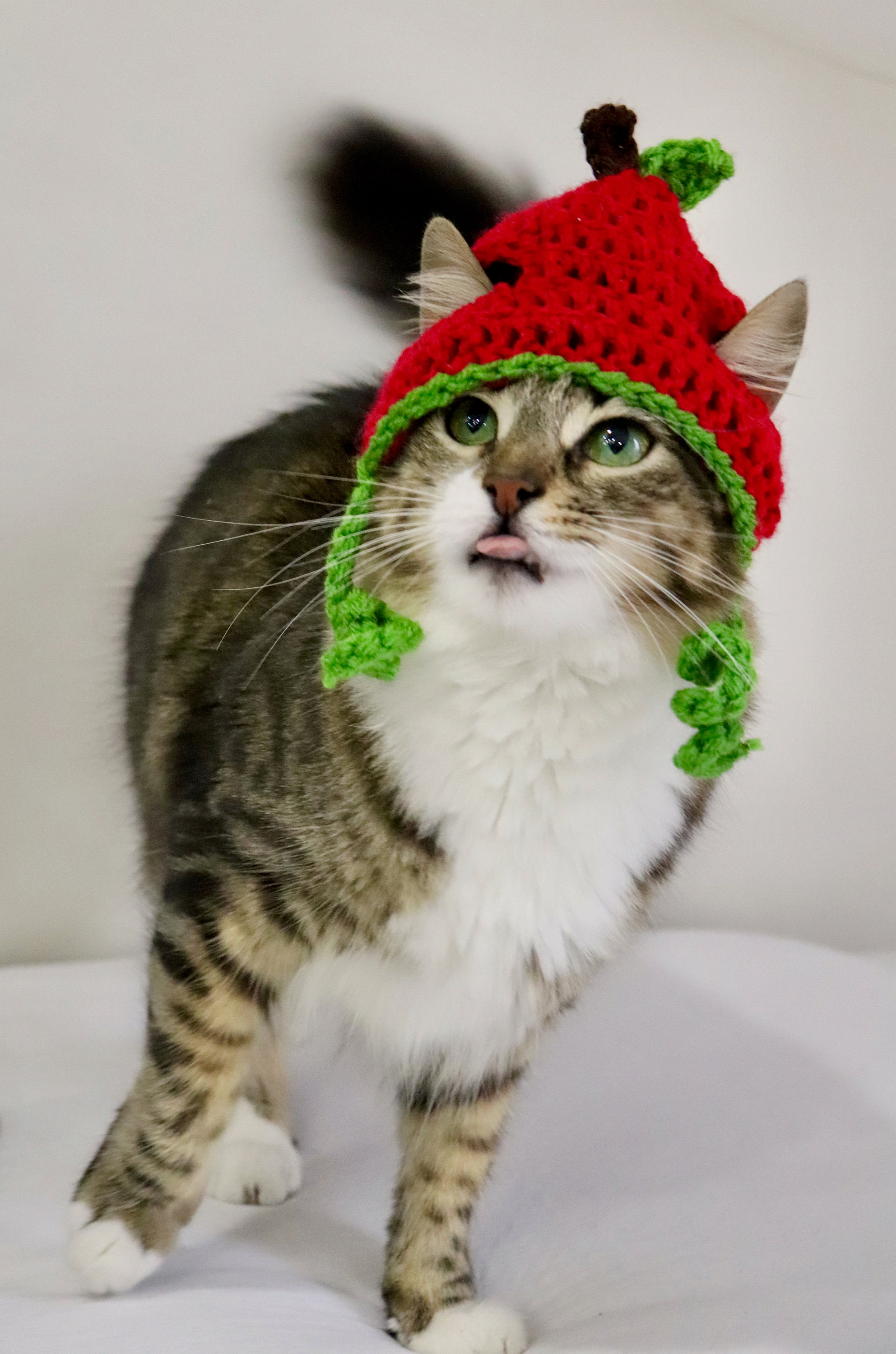 Crochet Apple Hat Pattern for Cats - Extra Small Dogs, Apple Cat Hat ...