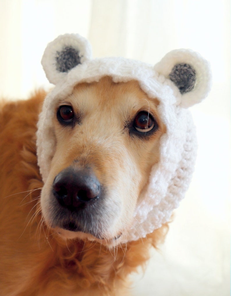 Bear Snood for Dogs Bear Ears for Large Dogs Bear Dog - Etsy