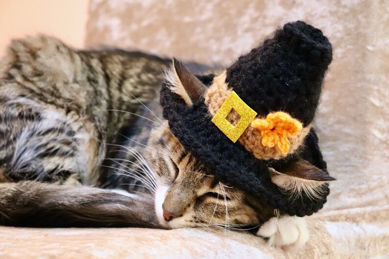 Thanksgiving Pilgrim Hat for Cats, Colonial Pilgrim Cat Hat With Leaf ...
