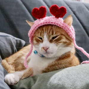 Heart Headband for Cats, Valentine's Day Cat Accessories, Cat Photo ...
