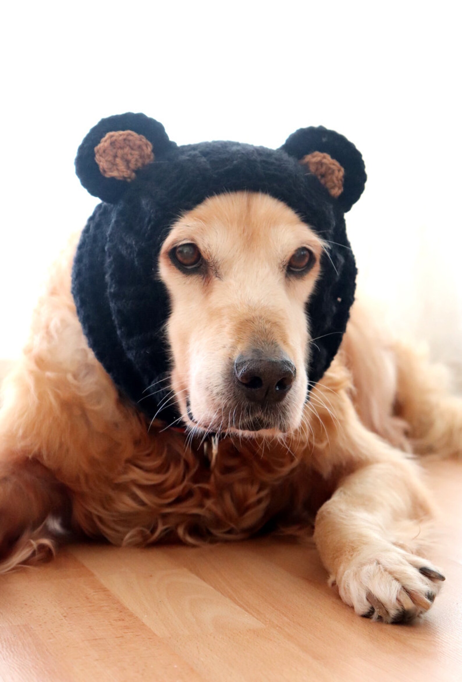 Bear Snood for Dogs Bear Ears for Large Dogs Bear Dog - Etsy
