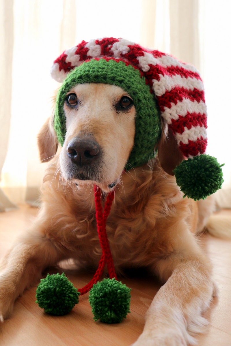 Crochet Pattern: Elf Hat for Dogs Dog Elf Hat Pattern | Etsy Canada