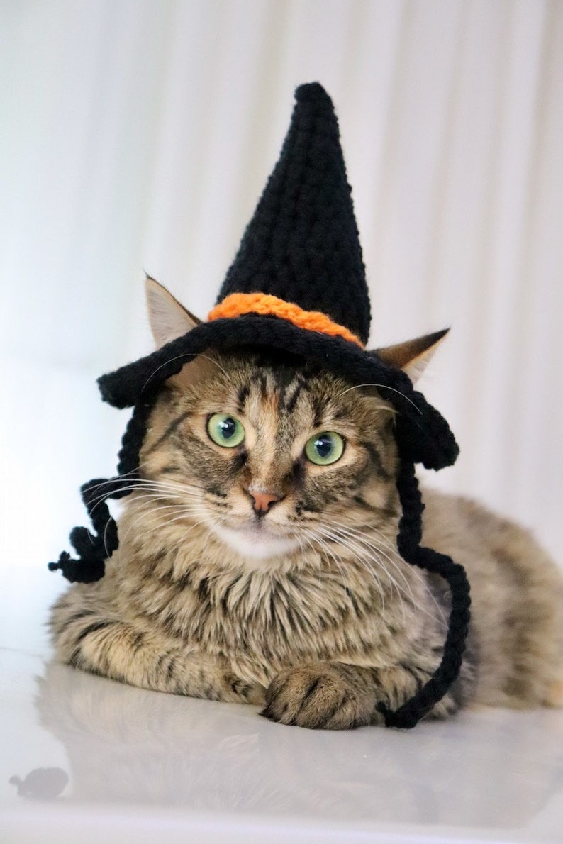 Witch Cat Hat Witch Hat for Cats Halloween Cat Costume - Etsy