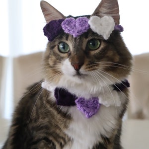 Heart Headband for Cats, Valentine's Day Cat Accessories, Cat Photo ...