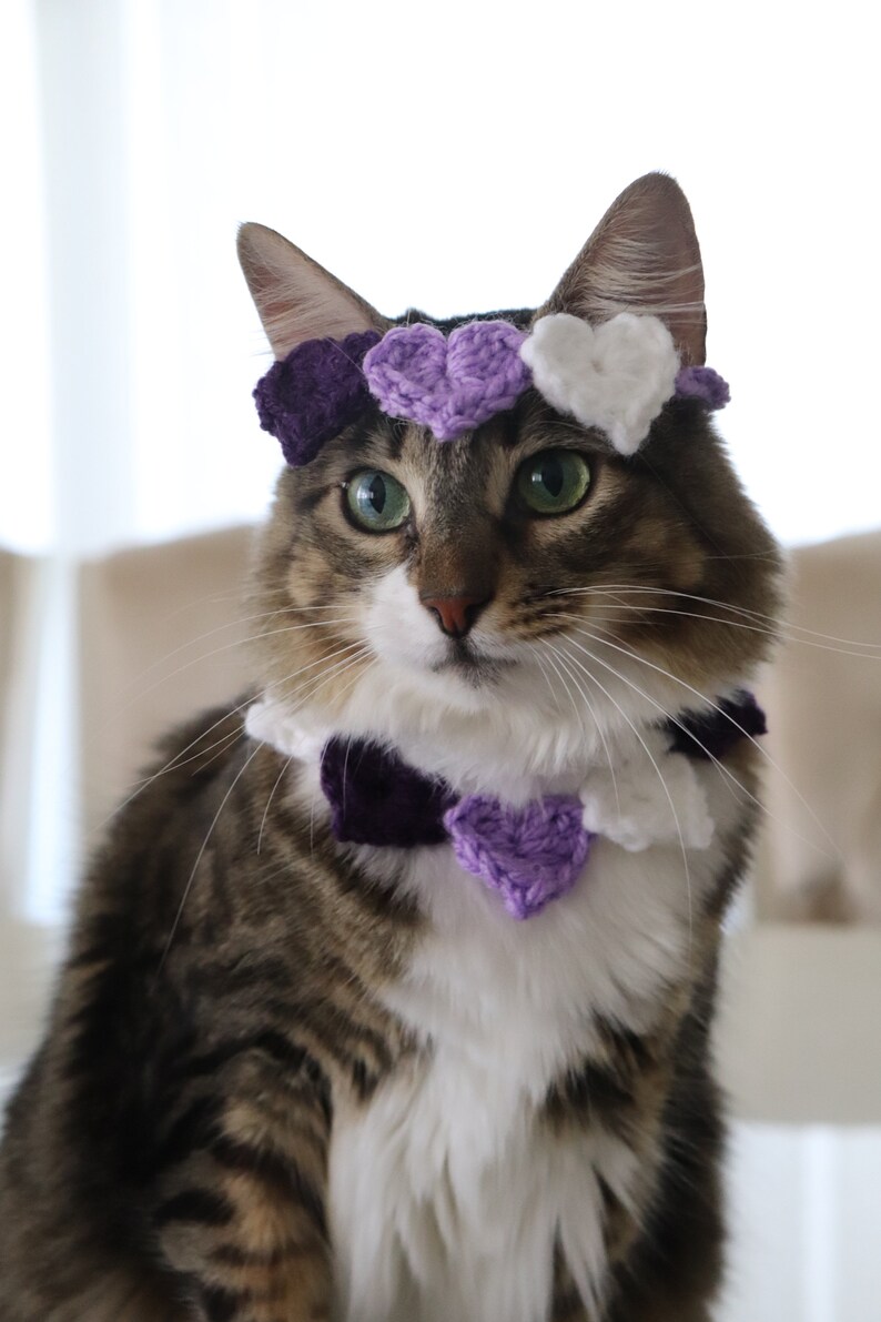 Heart Headband for Cats Valentine's Day Cat Accessories - Etsy