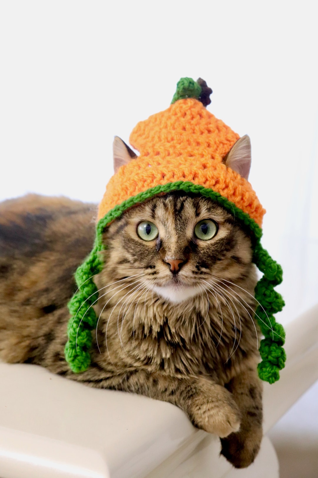 Pumpkin Cat Hat, Thanksgiving Cat Hat, Fall Hat for Cats, Kittens, and ...