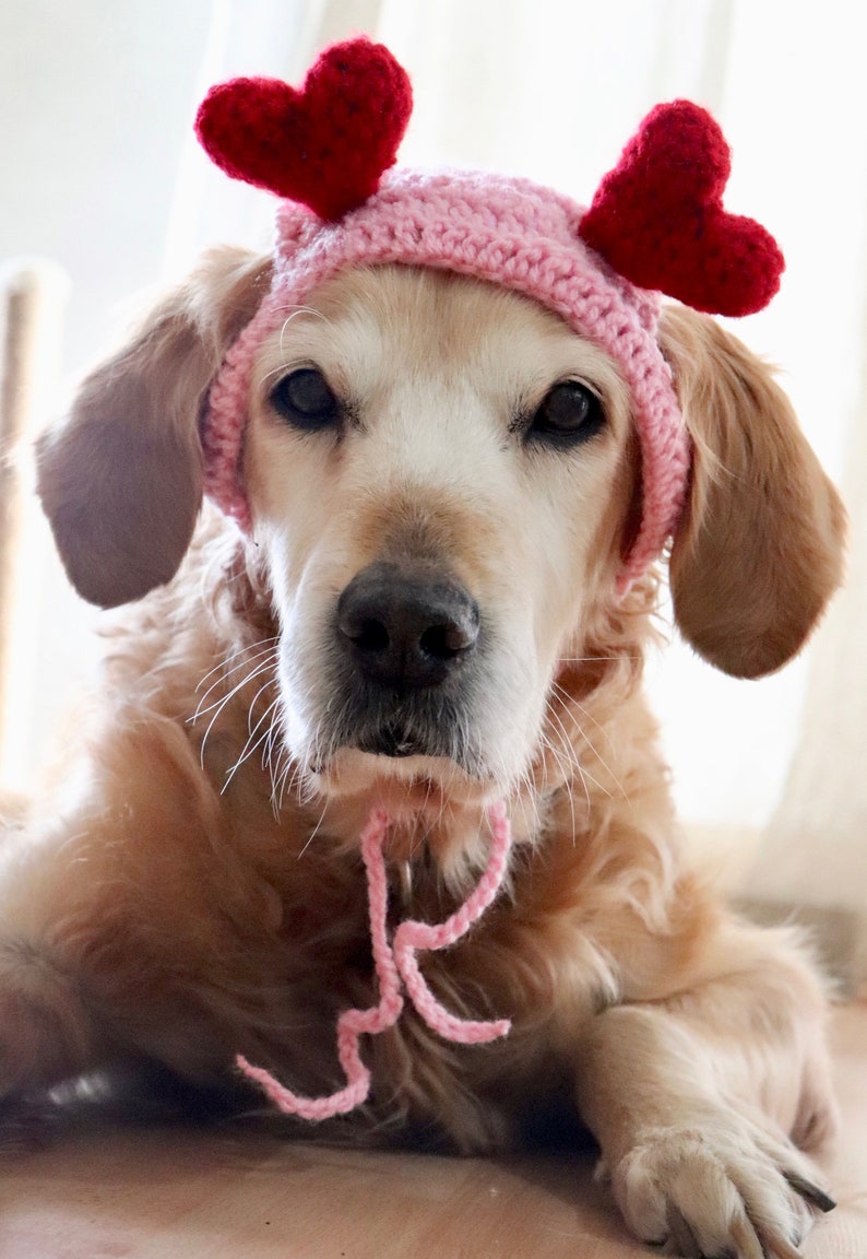 Valentines Day Hearts for Dogs Heart Headband / Hat for Large | Etsy