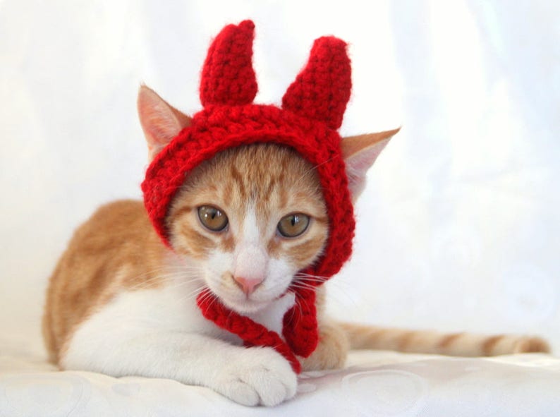 Devil Cat Hat Devil Pet Costume Devil Horns for Cats Devil - Etsy