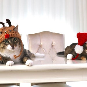 Rudolph Cat Hat, Reindeer Hat for Cats, Cat Reindeer Antlers, Christmas ...