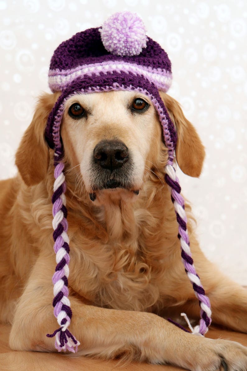 Dog Hat, Ear Flap Dog Hat, Dog Beanie, Pom Pom Hat for Dogs, Toboggan ...