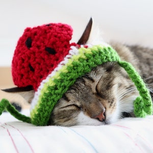 Watermelon Hat for Cats, Crochet Watermelon Hat for Cats and Small Dog ...