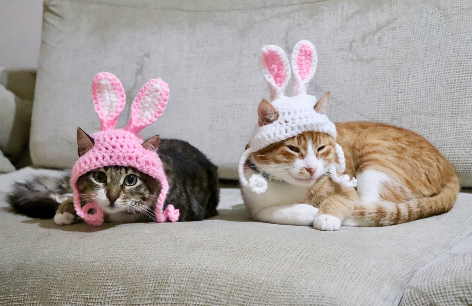 Crochet Pattern: Easter Bunny Ear Hat for Cats Rabbit Ear | Etsy