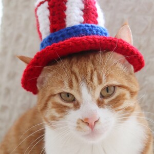Uncle Sam Hat for Cats, 4th of July Cat Accessory, Independence Day ...