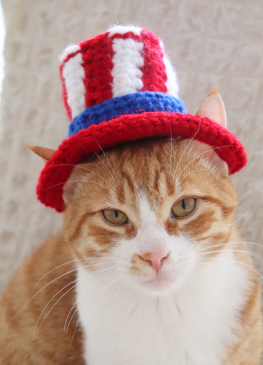 Uncle Sam Hat for Cats 4th of July Cat Accessory | Etsy