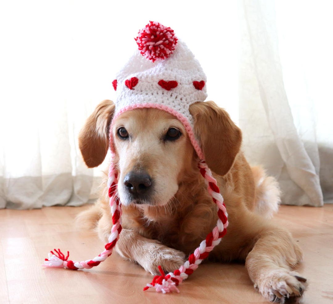 Valentines Day Dog Hat, Valentines Day Dog Photo Prom, Dog Hat With Red ...