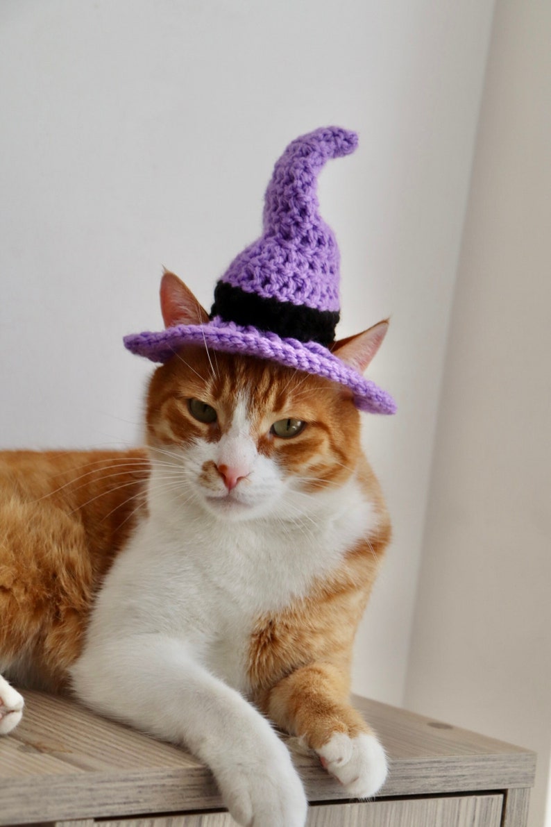 Witch Cat Hat, Witch Hat for Cats, Halloween Cat Costume, Halloween Hat ...