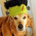 Crochet Pattern: Frankenstein Hat for Large Dogs, Dog Frankenstein ...