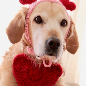 Valentines Day Hearts for Dogs, Heart Headband / Hat for Large Dogs ...