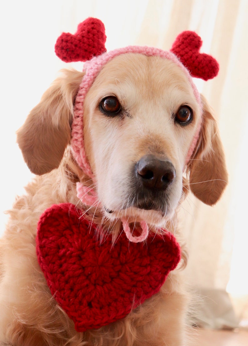 Valentines Day Hearts for Dogs Heart Headband / Hat for Large | Etsy