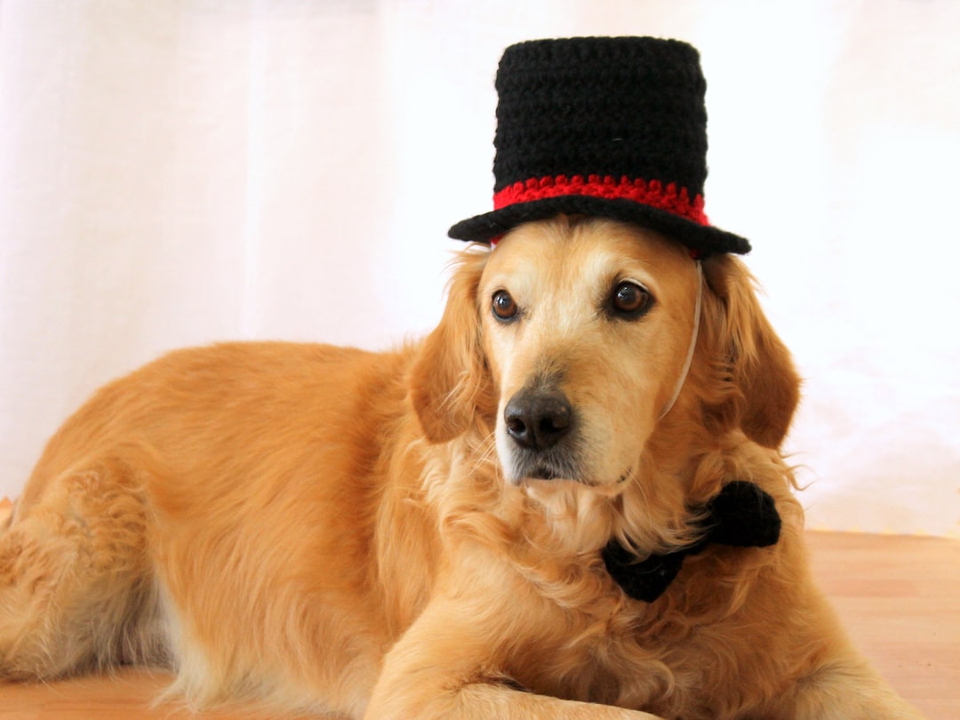 Top Hat for Dogs With Optional Bow Tie Add On, Custom Colors Available ...