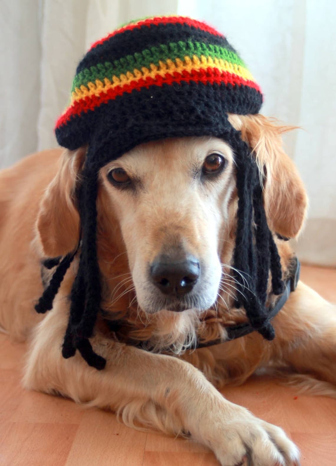Rasta Hat for Dogs Rastafarian Dog Hag With Dreadlocks Funny - Etsy
