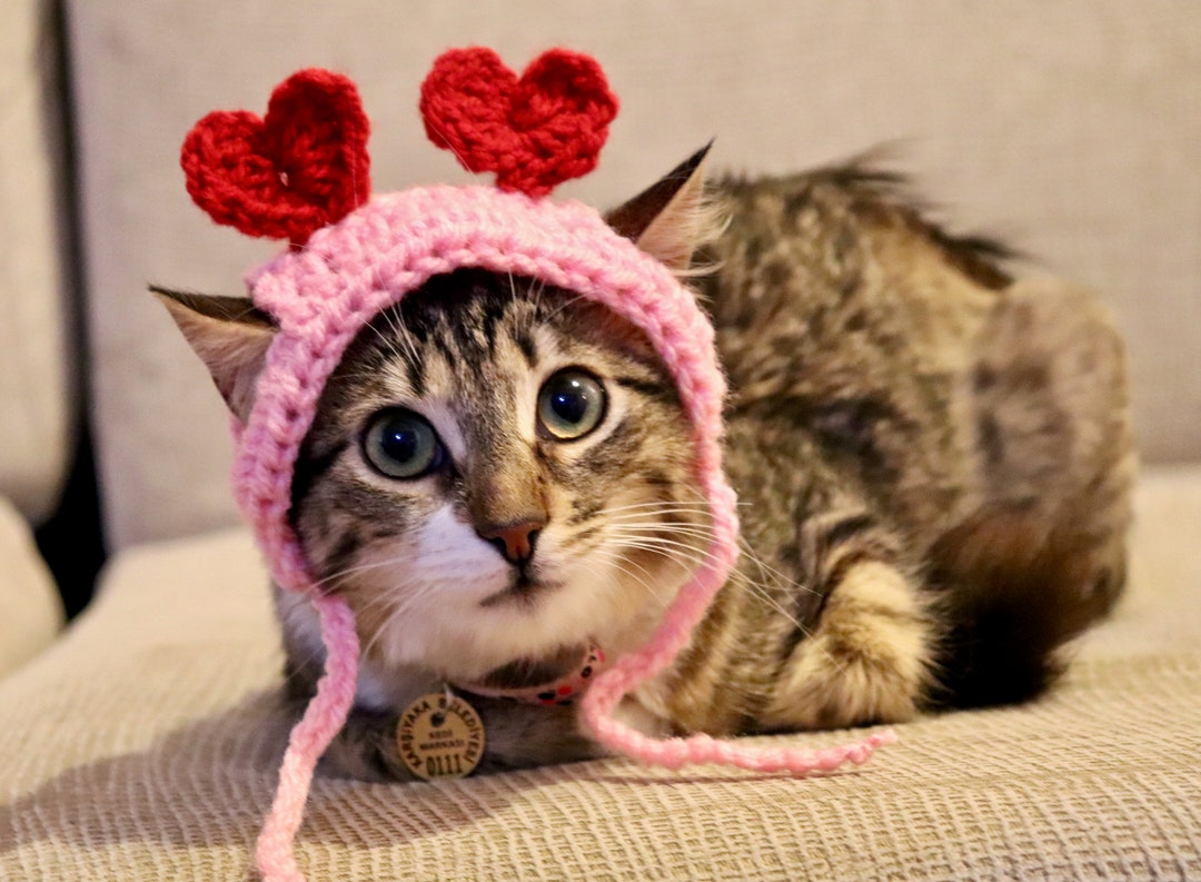 Heart Headband for Cats, Valentine's Day Cat Accessories, Cat Photo ...